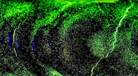 Format NDT - Non-destructive Testing Specialist - OnestopNDT